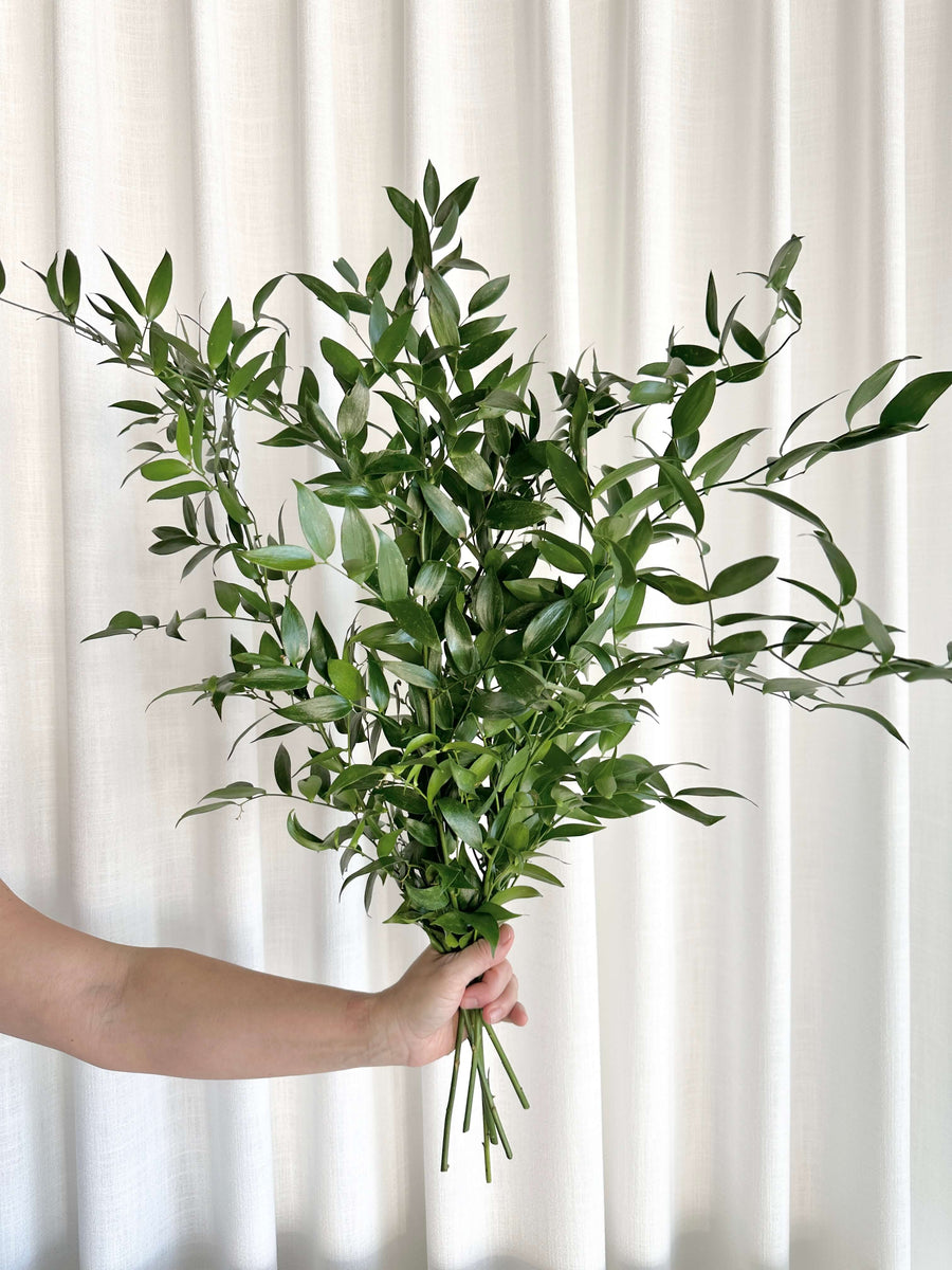 Paquet de ruscus italien - en vrac – Il était une fleur