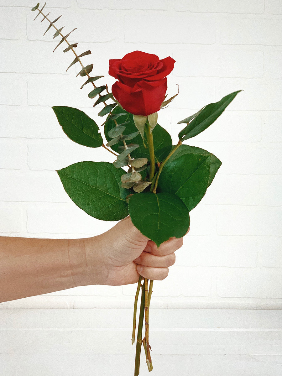 Bouquet de 1 rose – Il était une fleur