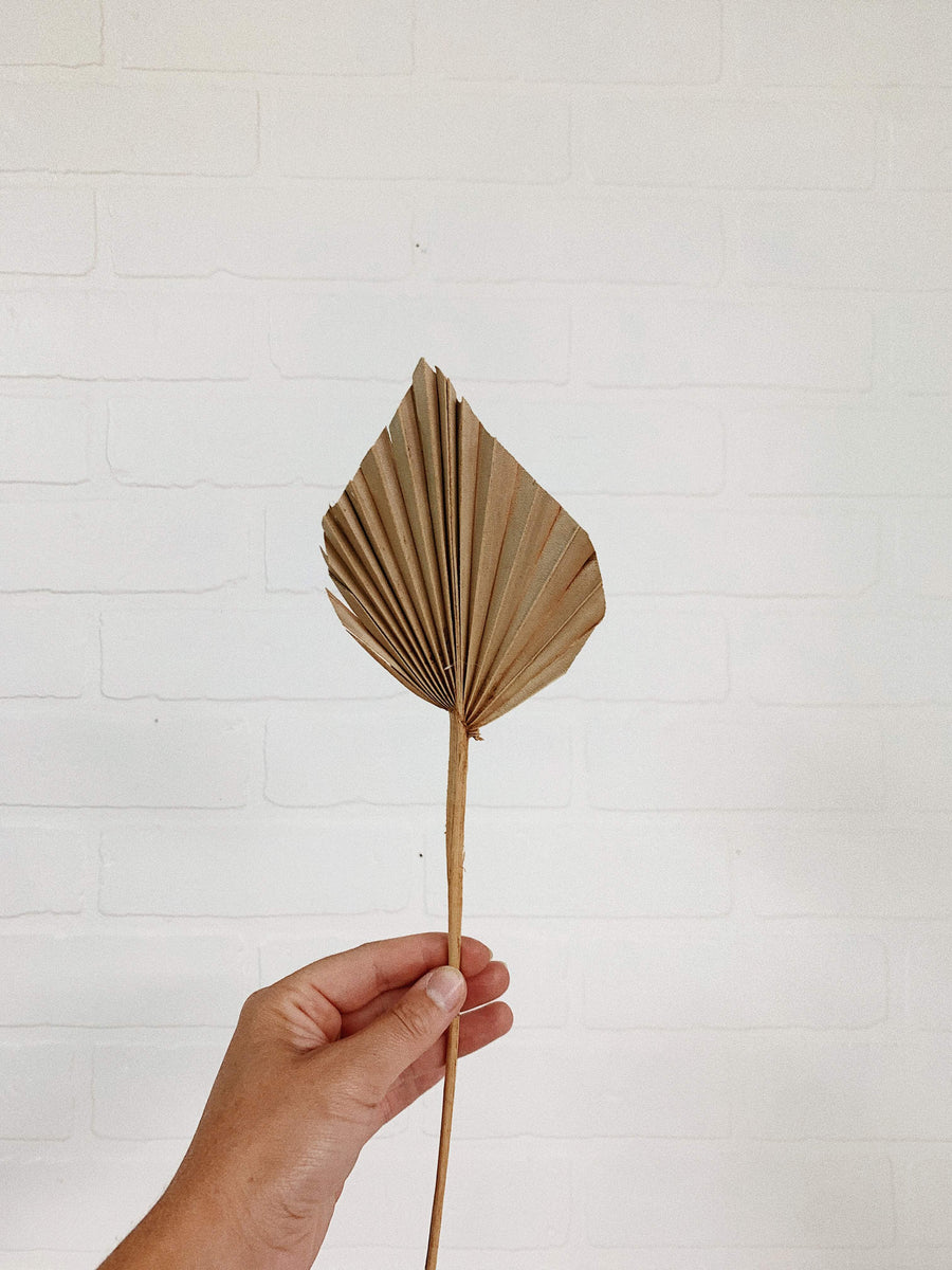 Palmetto - mini – Il était une fleur